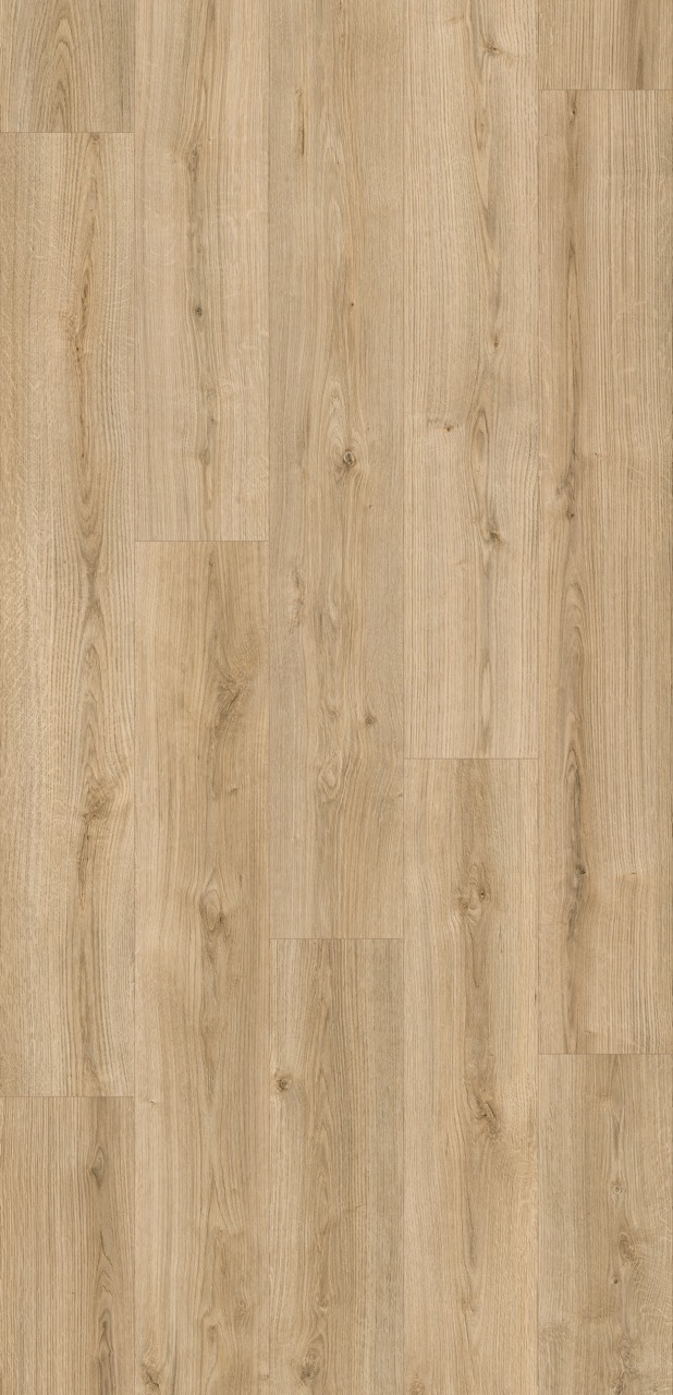 Kaindl K4420 Oak Evoke Classic Laminat Parke | Parsan Parke İzmir